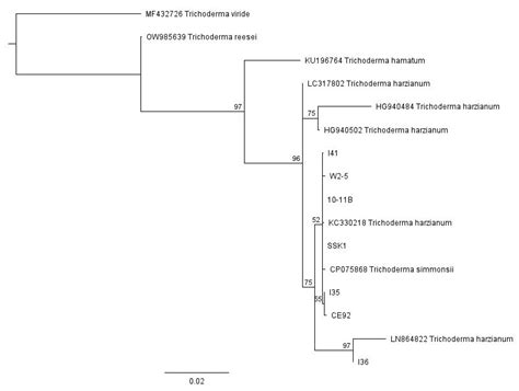 Locally Isolated Trichoderma Harzianum Species Have Broad Spectrum