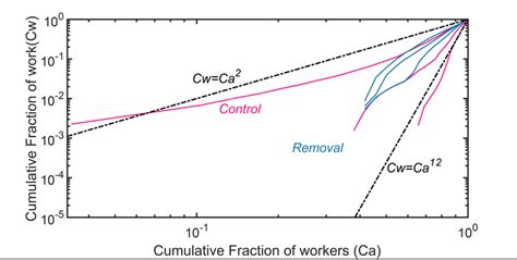 Fig S2 Log Log Plots Of Lorenz Curves Representing Workload