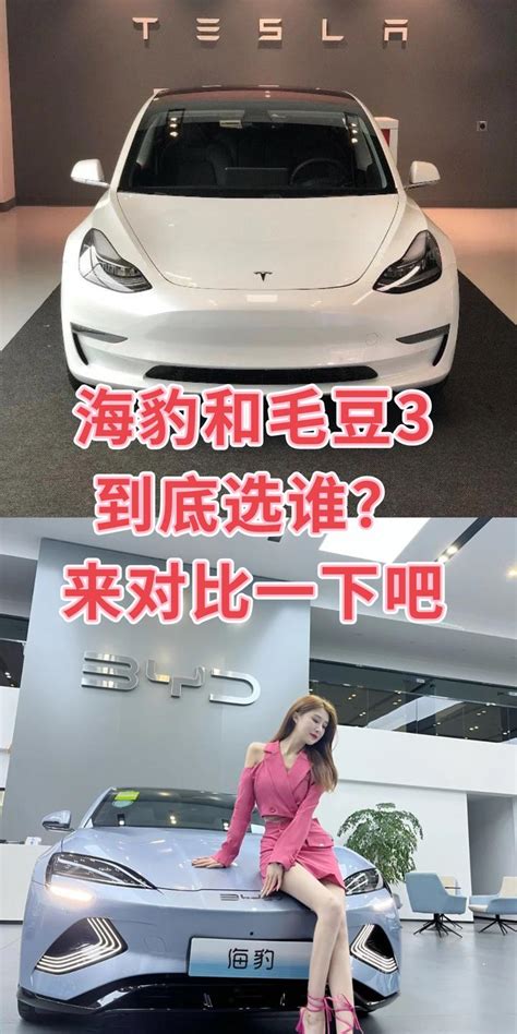 特斯拉毛豆3和比亚迪海豹到底选哪一个？ 知乎