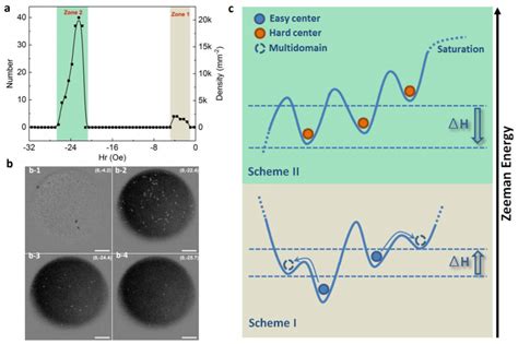 The Density Variation And The Scheme For Skyrmion Generation A B The