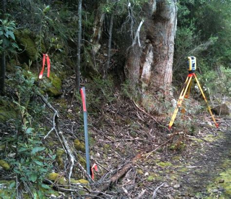 Survey Marks Cromer And Partners Surveyors