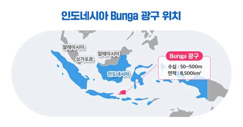 포스코인터 ‘서울시 14배 크기 인니 가스전 탐사·운영권 확보