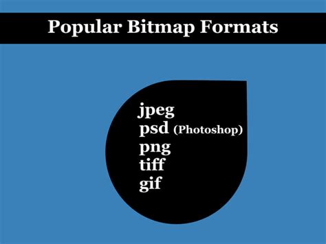 Bitmap And Vector Images Make Sure You Know The Differences PDF Computing Technology