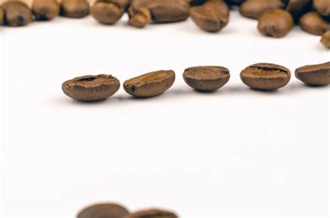 무료 이미지 식품 성분 견과 씨앗 식물 너트 생기게 하다 아몬드 슈퍼 푸드 Java Coffee 카페인