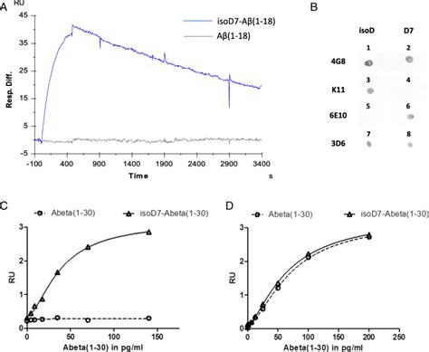 Antibody Characterization And Elisa Development A The Interaction Of Download Scientific