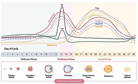 Pms Symptoms Chart
