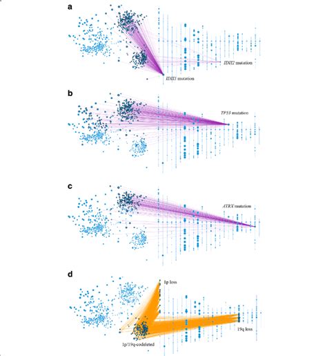 2d Diffuse Glioma Plots With Accompanying Chromosomal Ideograms A The