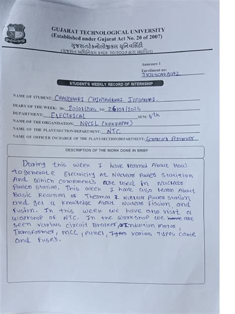 Weekly Record Of Internship Pdf