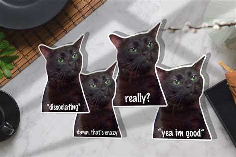 Black Cat Meme Zoning Out Cat Sticker Cat Meme Funny Cat Meme Etsy