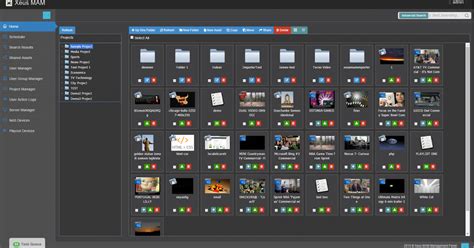 Digital Media What Makes Media Asset Management Systems So Popular