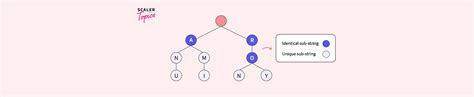 Suffix Trees Scaler Topics