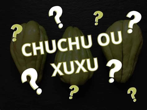Chuchu Ou Xuxu Descubra A Forma Correta De Escrever Prime Cursos