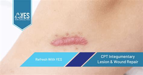 Review Repair Of Lacerations Skin Lesions In CPT Refresher Course