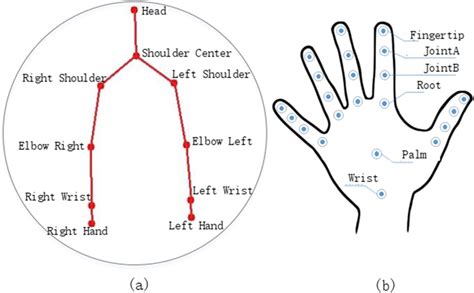 Examples Of Bone Joint Points A Human Hand Bone Nodes B Palm