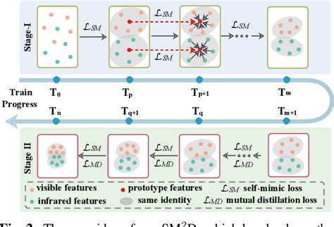 Figure 2 From Self Mimic Mutual Distillation For Cross Modality Person