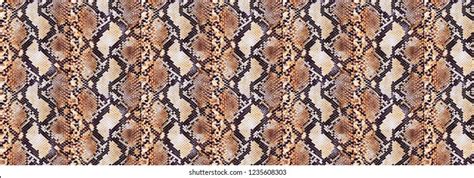 Python Pattern Images Stock Photos Vectors Shutterstock