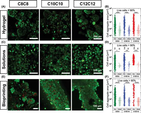 Chondrocytes Cell Viability In 3d And 2d A Live Green And Dead Download Scientific Diagram