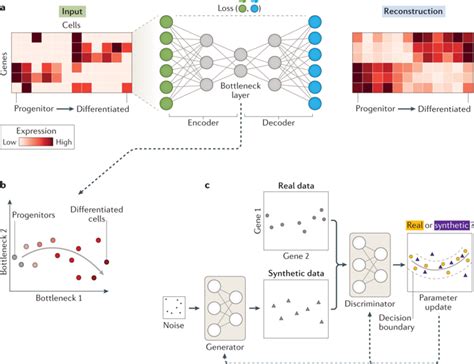 Deep Learning New Computational Modelling Techniques For Genomics Nature Reviews Genetics