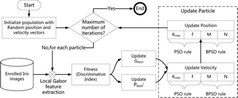 The Flowchart Of The Gabor Filter Optimization By Pso And Bpso Download Scientific Diagram