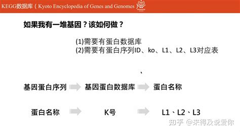 宏基因组分析流程实操理论 知乎