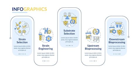 Premium Vector Precision Fermentation Stages Rectangle Infographic Template