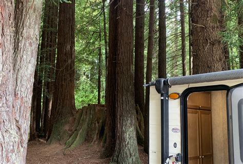 Crescent City Redwoods Koa Camping Crescent City California