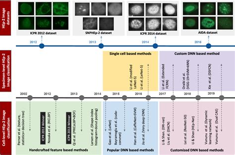 Figure 1 From Deep Learning Based Hep 2 Image Classification A