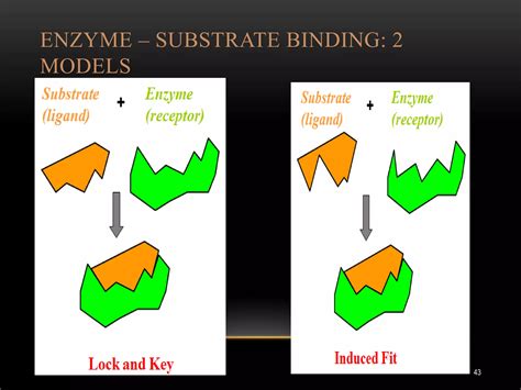 Genomics And Proteomics Bioinformatics Pdf