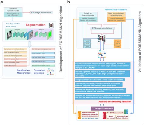 Figure 1 From Development And Validation Of A Deep Learning Based Fully Automated Algorithm For