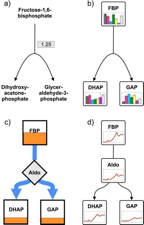Different Ways To Represent Pool Size And Flux Data In The Context Of A Download Scientific