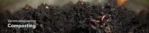 Vermicomposting Composting Siddhiwastetogreen