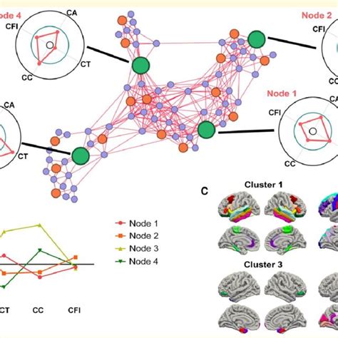 The Cortical Morphological Profiles Defined By Neural Network And Their Download Scientific