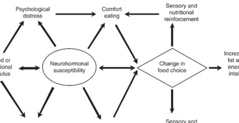 defining context and categorizing contextual variables