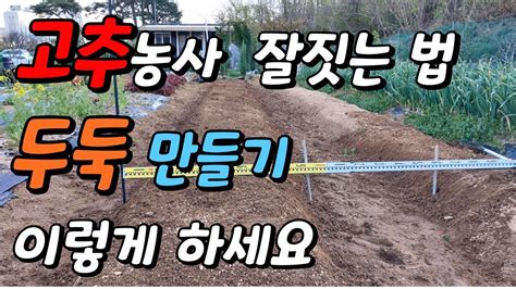 고추농사 잘 짓는법 두둑만들기 이렇게하면 수확량이 2배로 많아집니다 고추 두둑 만드는 방법 Youtube