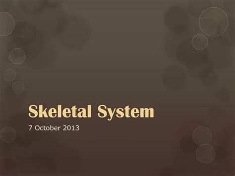 PPT Exploring Bone Functions And Structures A Comprehensive Overview PowerPoint Presentation