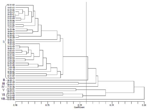 Cluster Analysis From Issr Profiling Of 45 Jatropha Curcas Accessions Download Scientific
