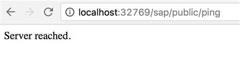 Connect To Netweaver Abap Instance Inside Docker Its Full Of Stars