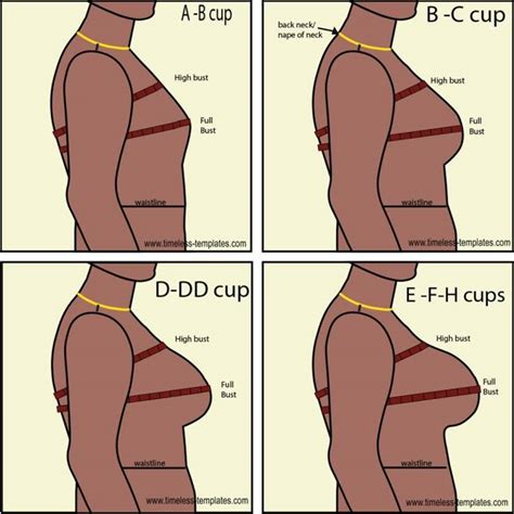 Finding Dress Bust Cup Sizes Timeless Templates Bra Sewing Pattern Corset Sewing Pattern