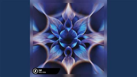 Trip Youtube Trip Youtube