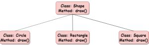 Tutorial For Polymorphism In OOPS ScmGalaxy