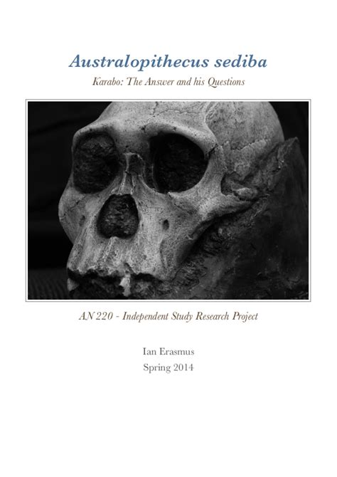 Cranio De Australopithecus Sediba Australopithecus Africanus