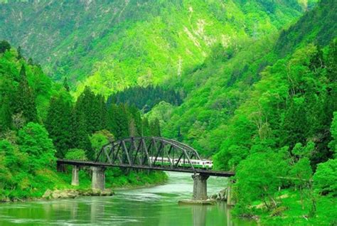 Decreaseとreduceの違いの意味を分かりやすく解説！ 意味違い辞典