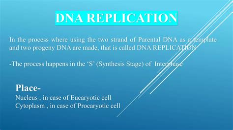 Dna Replicationpdf