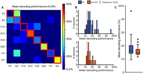 Ubiquitous Neocortical Decoding Of Tactile Input Patterns Abstract