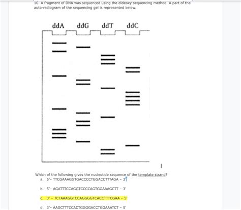 Solved 10 A Fragment Of Dna Was Sequenced Using The Dideoxy