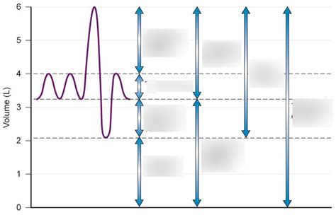Spirogram Diagram Quizlet