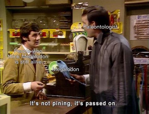 Screencap Used From Monty Python “dead Parrot” Skit R Prehistoricmemes
