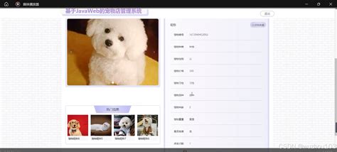 基于ssmvue基于web的宠物店管理系统【开题程序论文】 Csdn博客