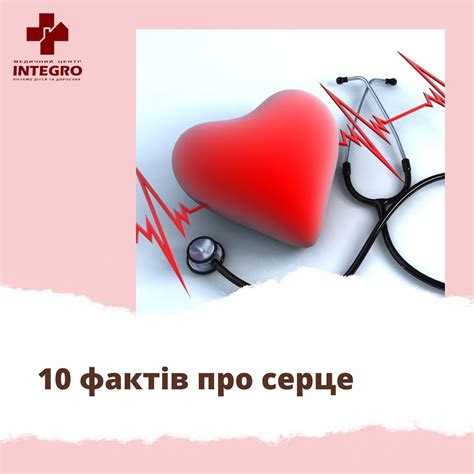 10 фактів про серце - Медичний Центр INTEGRO