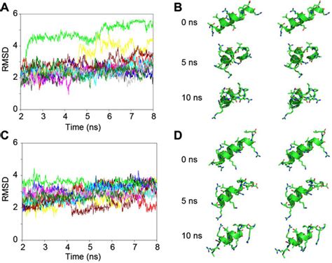 Molecular Dynamics Md Simulations Of Wild Type And Mutant Cbd3